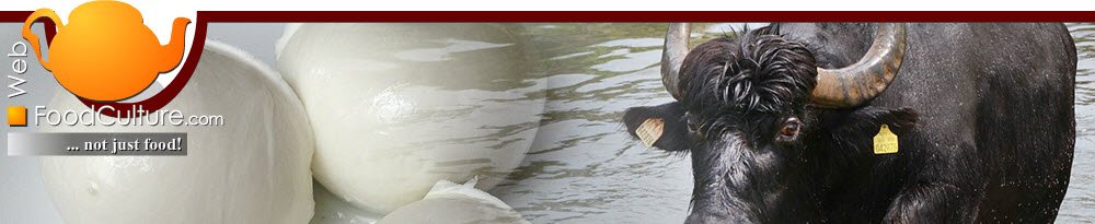 Buffalo Mozzarella: History, Info, Interesting Facts - WebFoodCulture